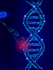 Custom Oligo Synthesis – MEBEP Bio Science