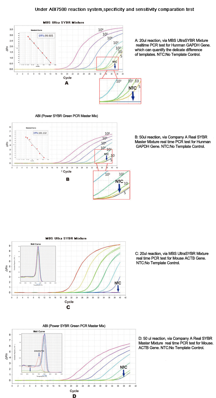 2xSYBR qPCR Master Mix – MEBEP Bio Science