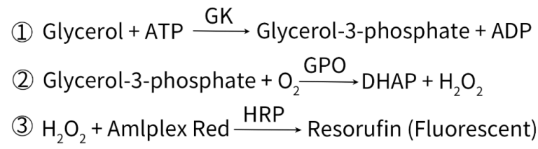 Glycerol Assay Kit – MEBEP Bio Science