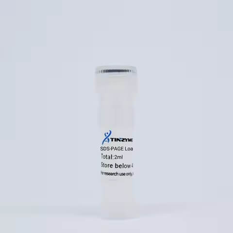 SDS-PAGE Loading Buffer (Reducing, 5×) – MEBEP Bio Science